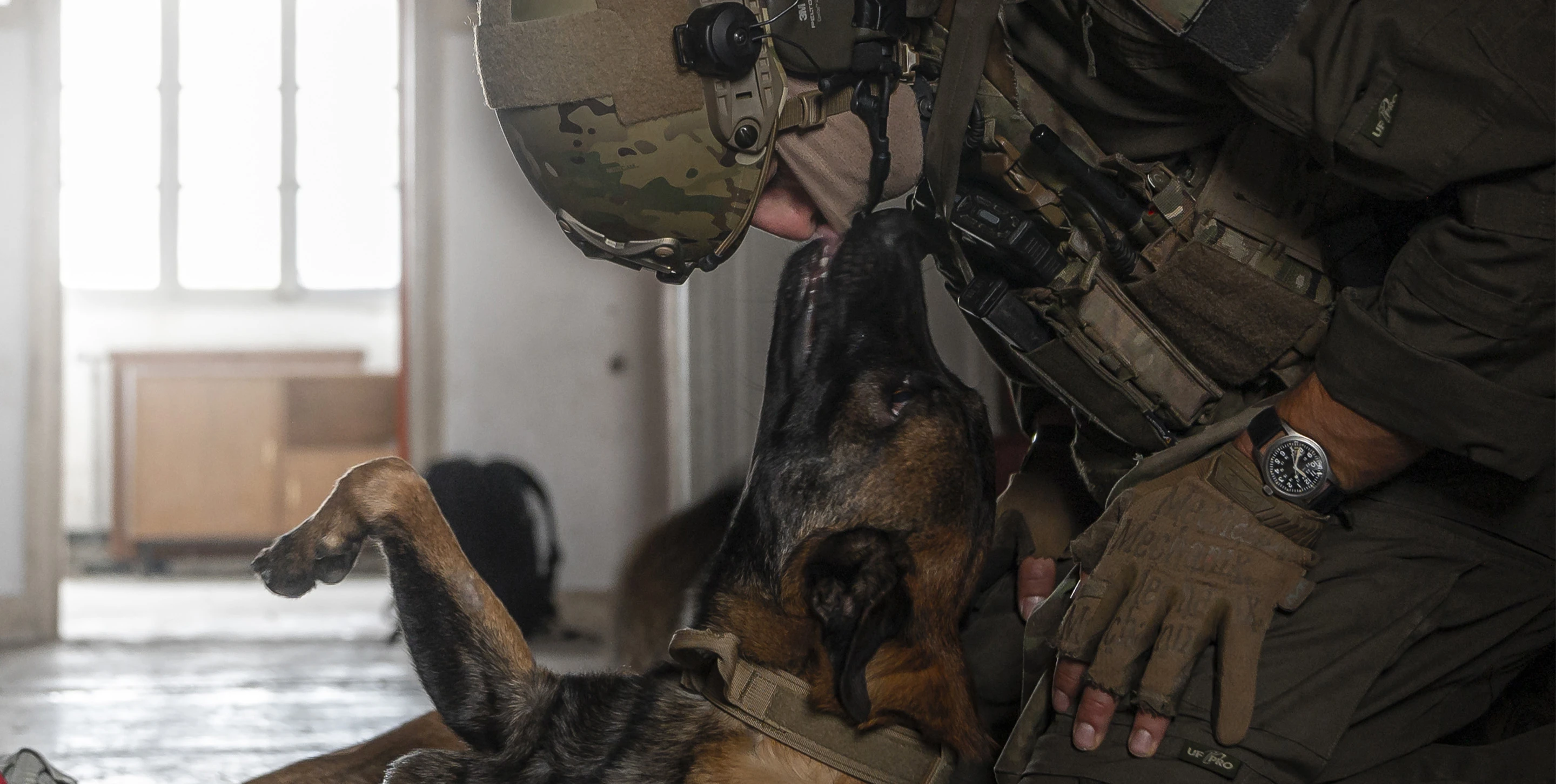 Devenir maître-chien parachutiste dans l'AAE